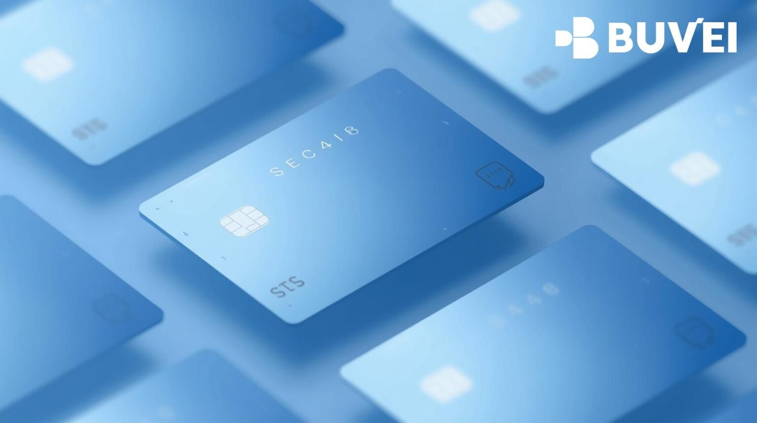 - BUVEI Virtual Card for SaaS Payments